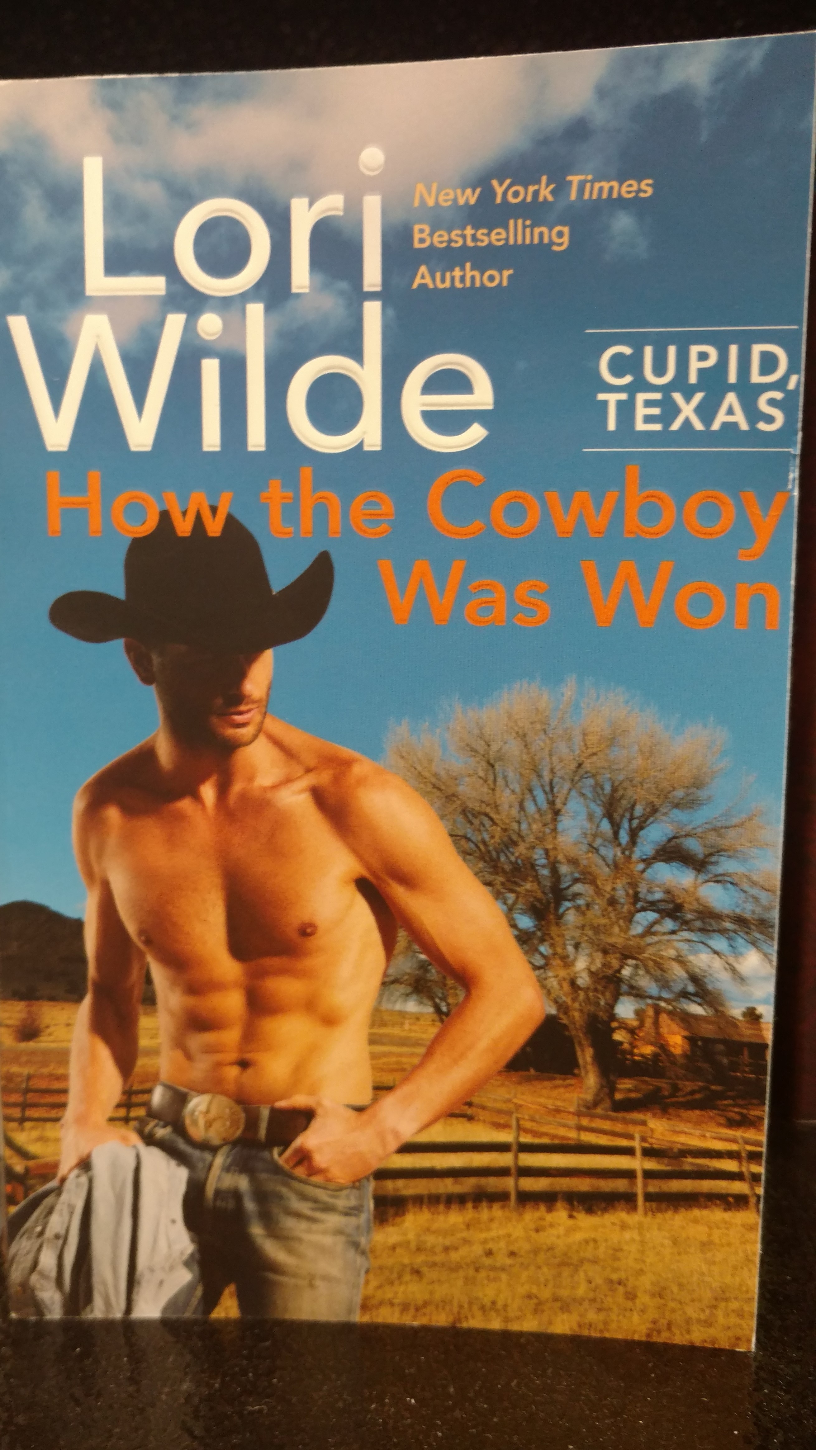 Romance Novel Roundup: The Cowboy Edition – Welcome To The Gyre